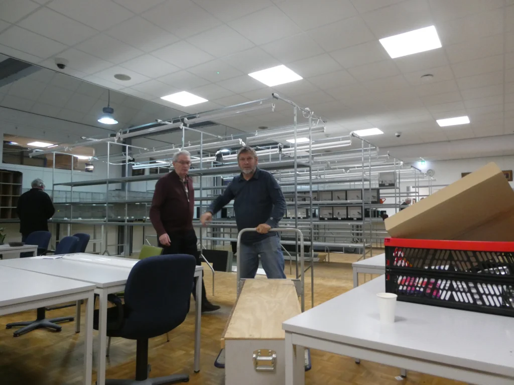 Zeker 600 Showvogels Kleur En Zang IJsselstein | Utrecht